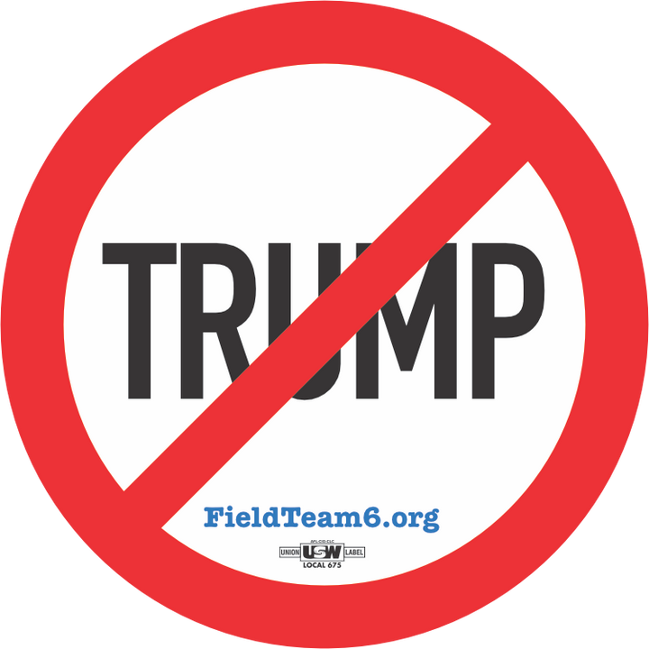 Stickers – Plavidian FieldTeam6 Cards